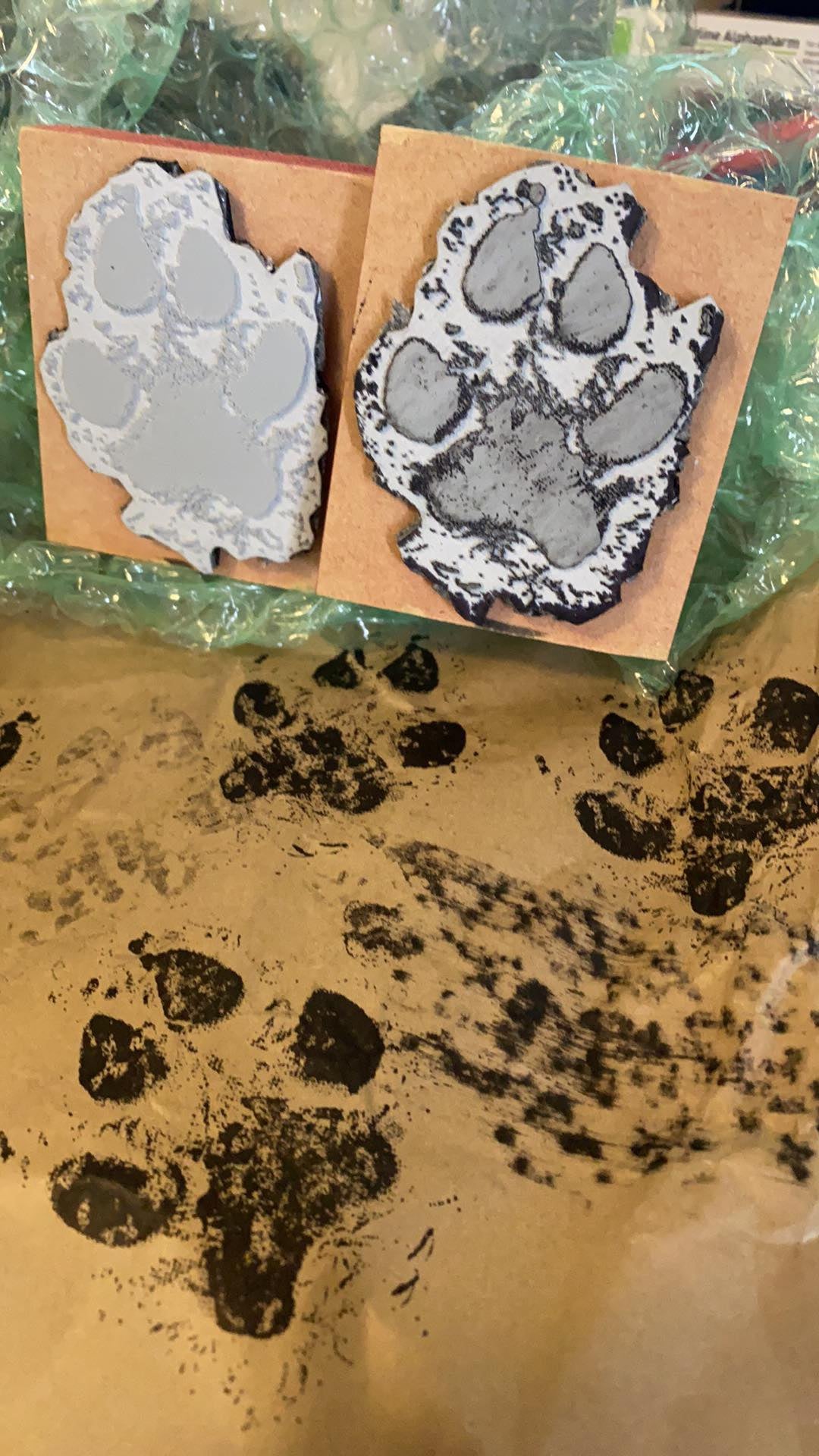 Wandi by Favel Parrett - stamped and signed | Australian Dingo ...