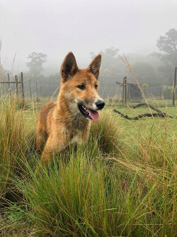 ADF Home Sanctuary Donation (Tour) … Sponsor/Support Gift card More