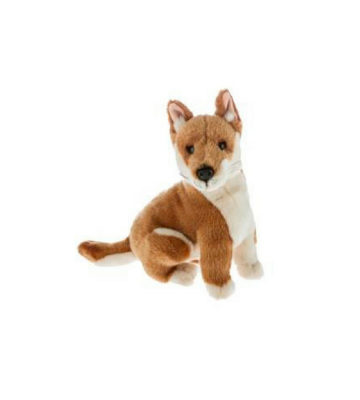 Ginger Dingo Plush | Australian Dingo Foundation Store